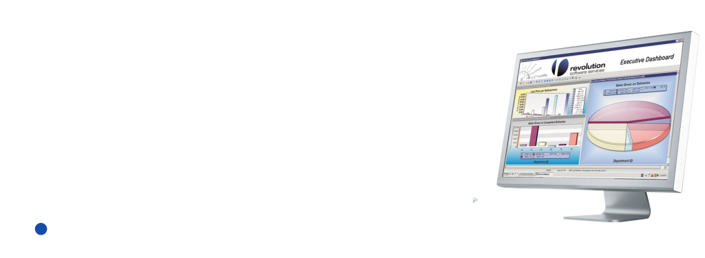 Revolution Software Services